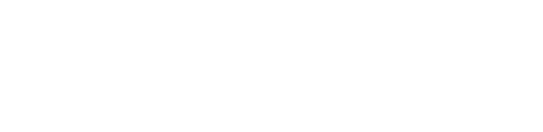 Leadership Team - Strava Technology Group